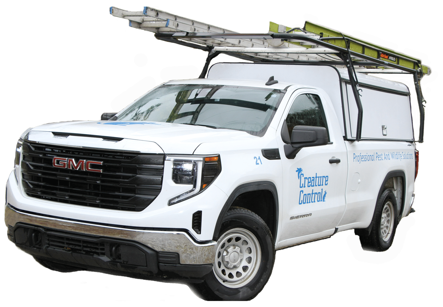 House Mice Removal Services in Grass Lake | Creature Control