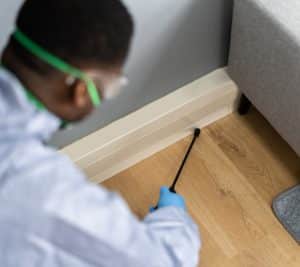 Common Pests in Michigan | Creature Control